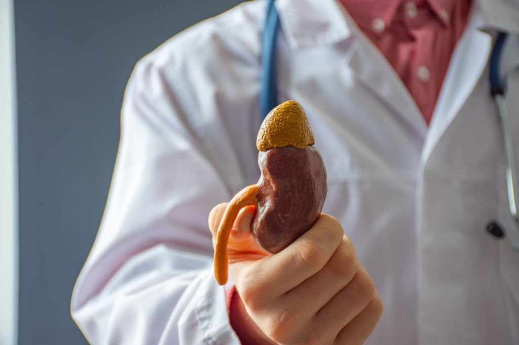 Pediatric Nephrologist In Bangalore Infant Kidney Treatment Pediatric Nephrologist In Bangalore Infant Kidney Treatment