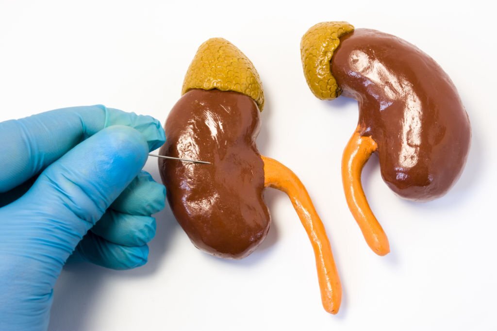 Biopsy Test Cost In Bangalore Kidney Biopsy Test Center